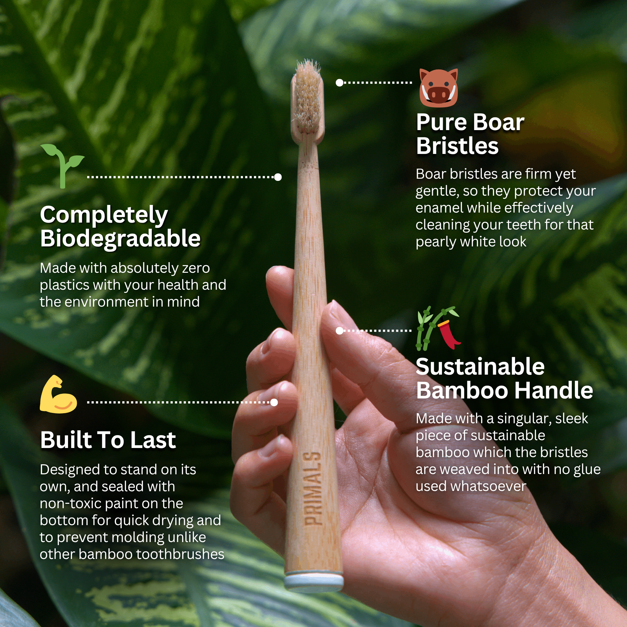 PRIMALS Boar Bristle & Bamboo Toothbrush (4 Pack) – Primals